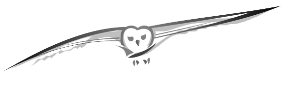 Distributors | Schweizer Optik